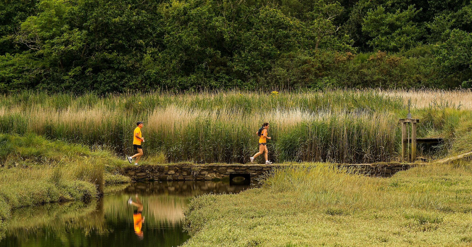 Abbaye de Beauport - Un pas pour ma planète ! éd. 2022
