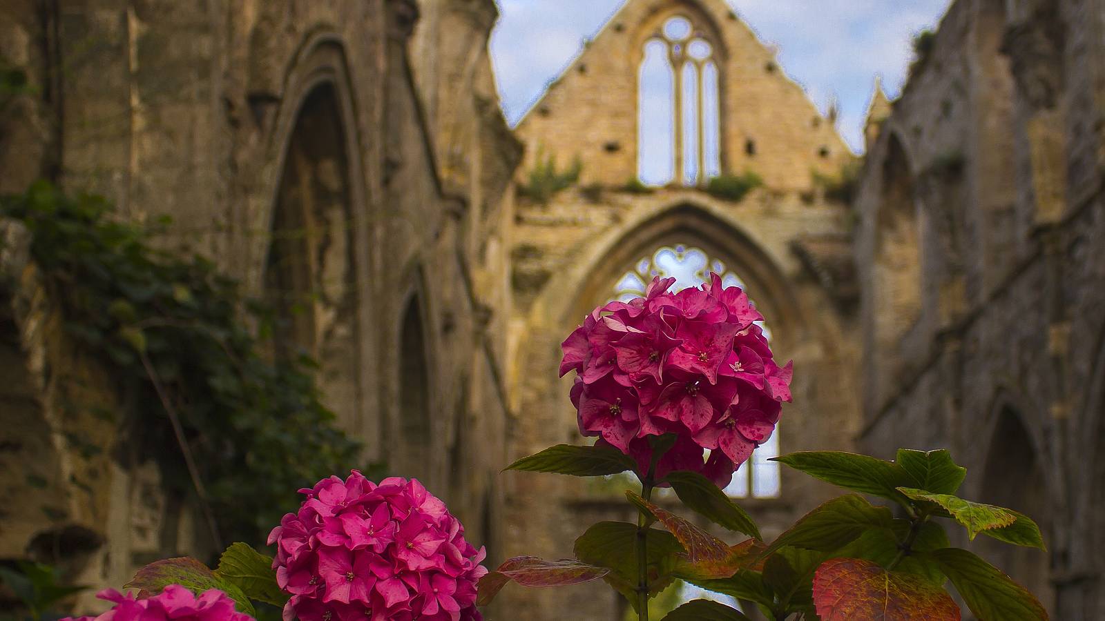 Abbaye de Beauport - Découvrir l'abbaye et le domaine de Beauport